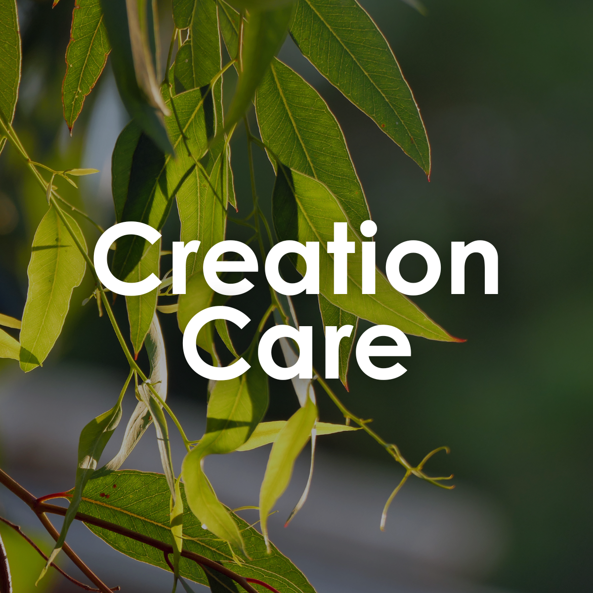 Creation Care - Messages of Hope